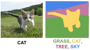 画像セグメンテーションにおけるActive Learning | Fintan