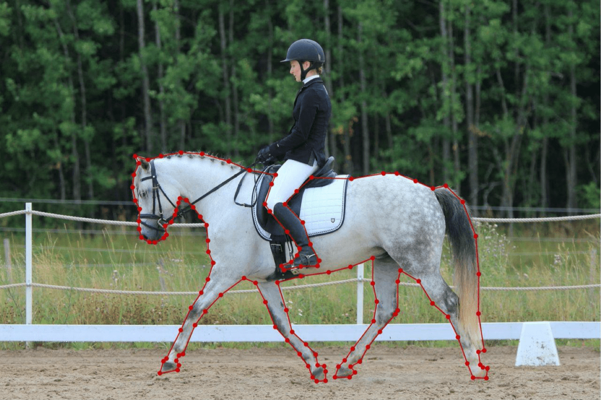 画像セグメンテーションにおけるActive Learning | Fintan